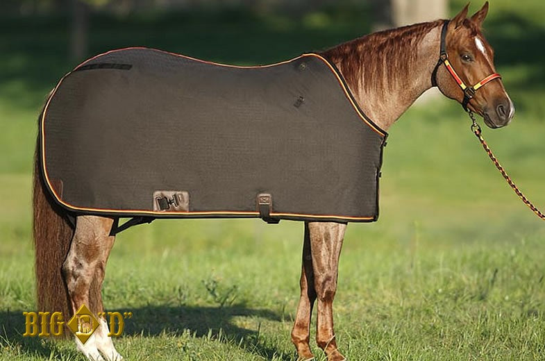 BIG D – Ranch By Design